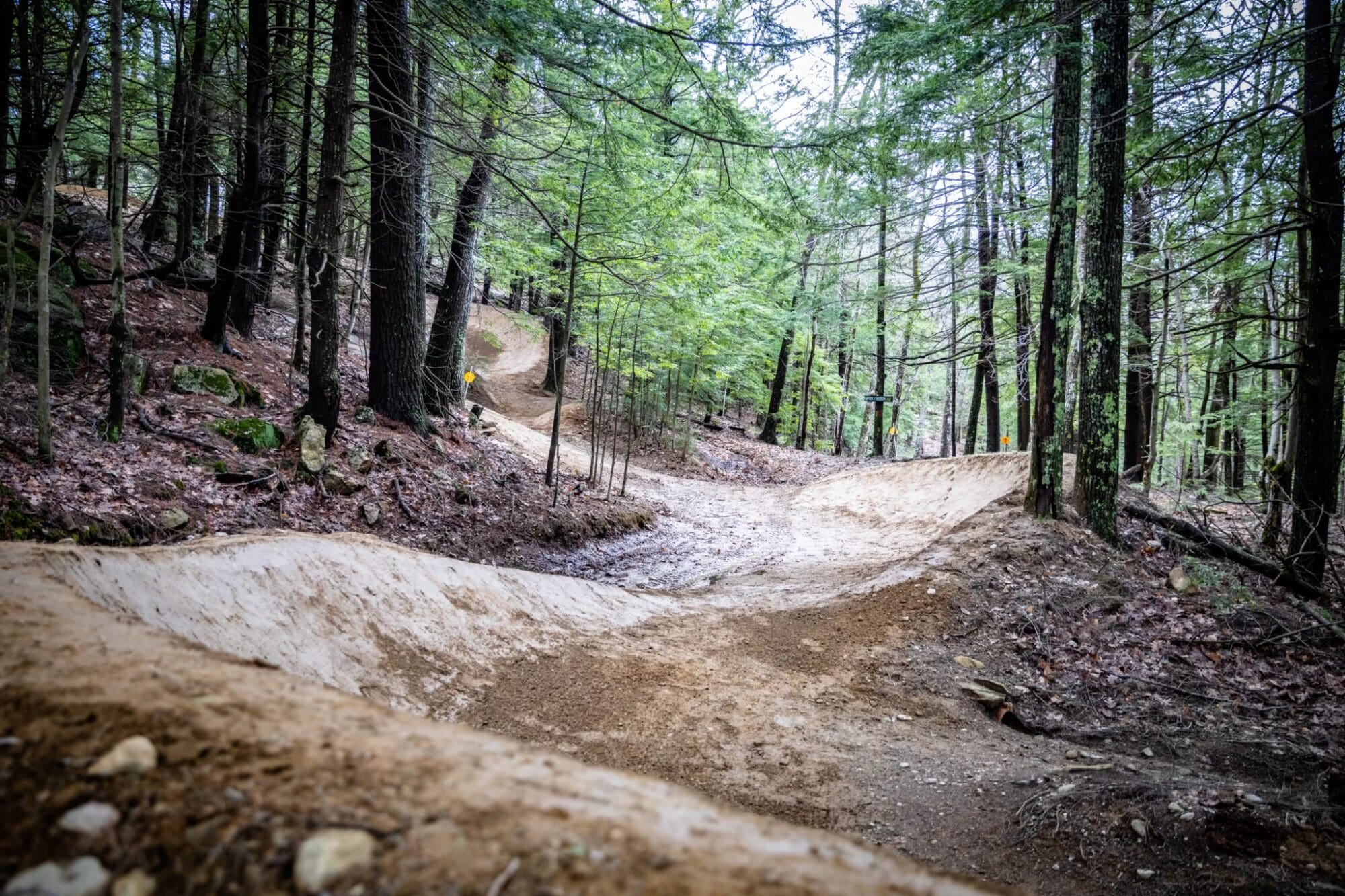 Highland Mountain Bike Park | Lift-Access Mountain Biking